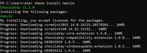 How To Install Neovim Nvim On Windows