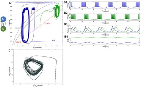 Prey Predator Network A Diverse Ei Module Constituted Of A