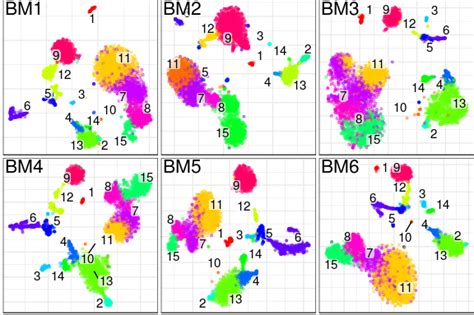 GitHub Kharchenkolab Conos R Package For The Joint Analysis Of Multiple Single Cell RNA Seq