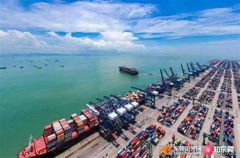 【视频】虎门港综保区上半年进出口货值同比增长17倍东莞阳光网