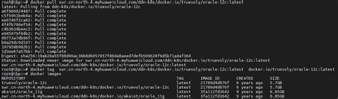 Docker 安装 Oracle 12c 伦少的博客