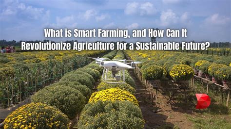 How Can Smart Farming Revolutionize Agriculture Datamyte