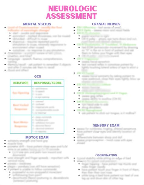 Neurologic Nursing Assessment Etsy