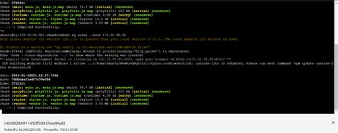 Angular App Served Successfully On Ec2 Instance But Failed To Launched
