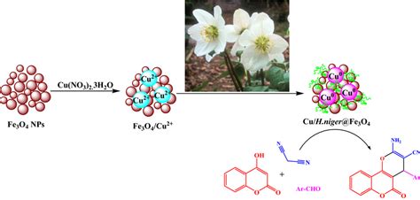 Bio Inspired Synthetic Strategy Of Cuhnigerfe3o4 Nanocomposite Over