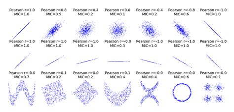 Mutual Information Estimation