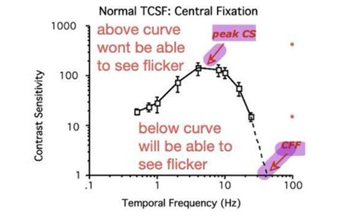 Monsens Temporalmotion Sensitivity Midterm 2 Flashcards Quizlet