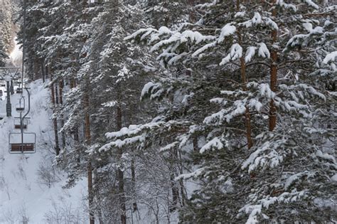 눈 덮인 겨울 조경의 의자 리프트 서리 숲 을 통해 체어 리프트 0명에 대한 스톡 사진 및 기타 이미지 0명 겨울 겨울
