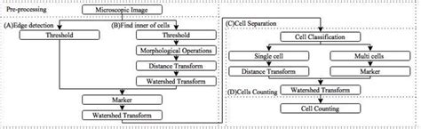Modified Watershed Transform Algorithm For Cancer Cell Segmentation