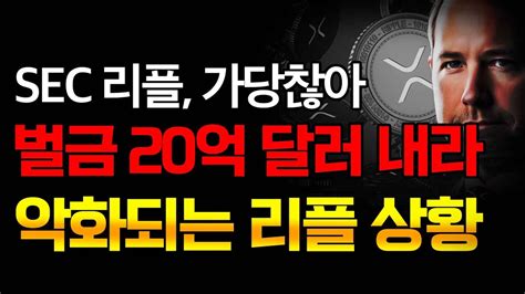 Sec 리플 가당찮아 벌금 20억 달러 내라 악화되는 리플 상황 Youtube