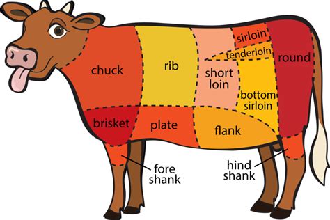Cow Meat Beef Cow Beef Meat Parts Of A Cow Beef Masala Arm Roast Sirloin Tips Beef Curry