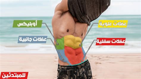 أقوى تمرين بطن في البيت بدون أدوات للمبتدئين في الفيديو تمرينات