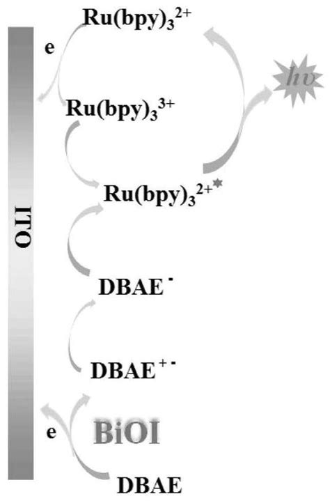 Construction Method Of Visual Electrochemical Luminescence Sensor Based On Ruthenium Ii