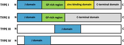 1 Schematic Representation Of The Domains Of Types I Iv Jdps The Download Scientific Diagram