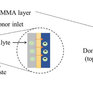 Scheme Of The Microfluidic Device Download Scientific Diagram