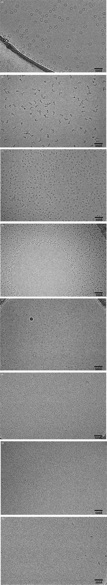 Single Particle Electron Cryomicroscopy Trends Issues And Future Perspective Quarterly