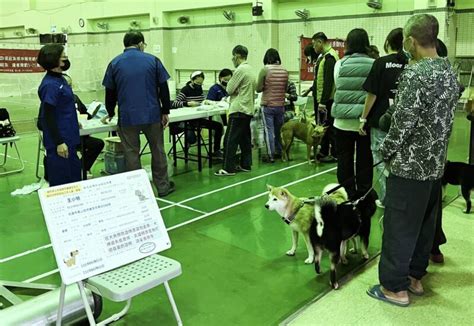 高市偏鄉巡迴犬貓絕育列車今於大樹區啟動 提供免費的動物衛教諮詢服務 蕃新聞