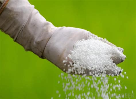 What Is Urea Nitrogen Fertilizer The Tree Center