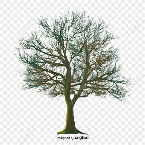 Cartoon Tree Branches Natural Bifurcation Crotch PNG Free Download And Clipart Image For Free