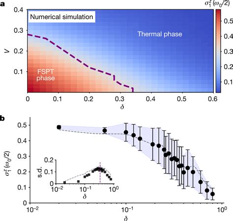 Numerical Phase Diagram And Experimental Detection Of The Phase