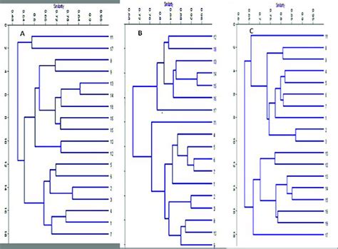 A Dendrogram Based On Upgma Analysis Using A Scot Marker B Srap