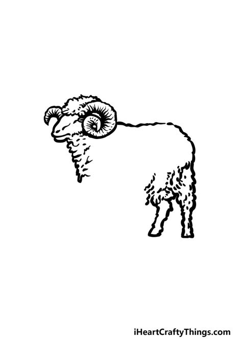 Ram Drawing How To Draw A Ram Step By Step