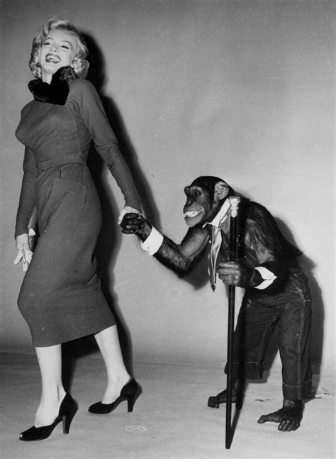 Chaos Chemistry And Cary Grant A Look Back At Hollywoods Classic