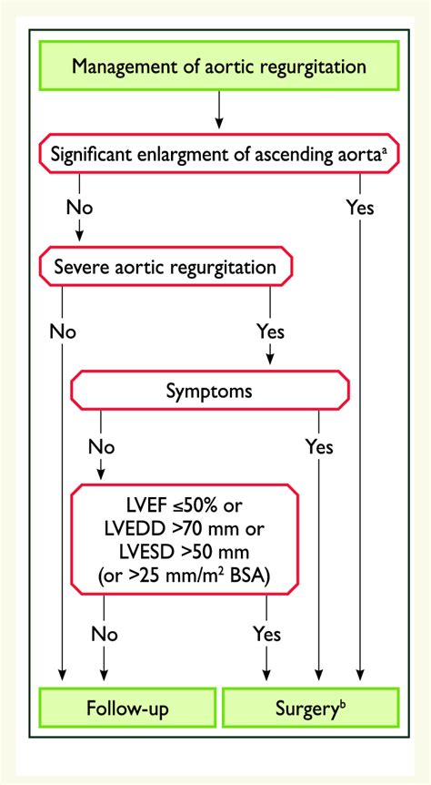 Pathophysiology Of Aortic Regurgitation And Management