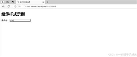 Css Web Csdn