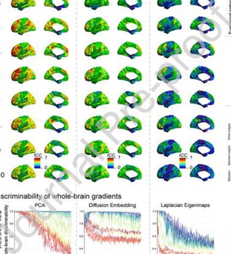 Reliability Of Functional Gradients A Upper Whole Brain Mean