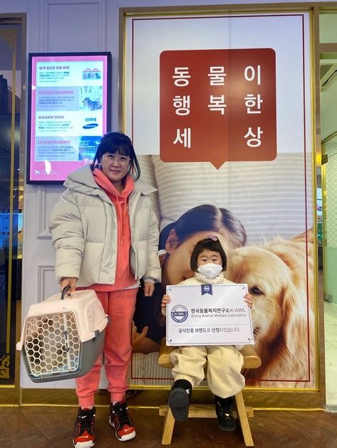 토이푸들 후루 이탈리아그레이하운드입양 치와와입양 폼스키입양 폼치입양 폼피츠입양 푸숑입양 고양이입양 랙돌입양 러시안블루입양 먼치킨입양 브리티쉬숏헤어입양 노르웨이숲입양 뱅갈입양