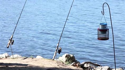 Licencia De Pesca En Alabama