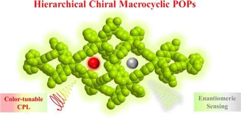 Hierarchical Chiral Luminescent Macrocyclic Porous Organic Polymer From