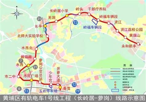2元黄埔有轨电车1号线下月开通示范段 澎湃号政务 澎湃新闻 The Paper