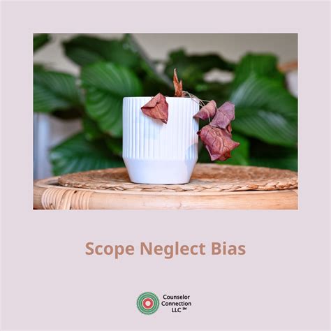 Kim Pries On Linkedin How Do We Deal With This Cognitive Bias Here Are A Few Suggestions