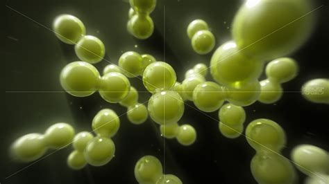 Amoeba Evolution Bass Visuals