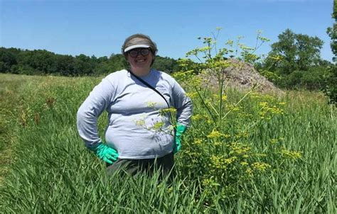 The Wild Parsnip Problem Three Rivers Park District