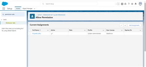How To Use Custom Permission In Salesforce Tips And