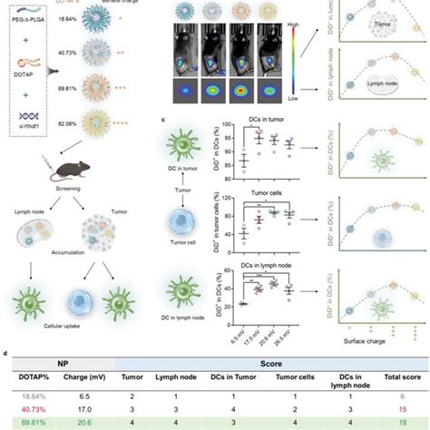 Screening Of Dual‐targeting Nps To Dcs And Tumor Cells A Nps With Download Scientific Diagram