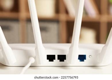 Back Router Images Stock Photos Vectors Shutterstock