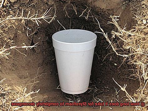 How Long Does It Take For Styrofoam To Completely Decompose DisposeOfThings Com