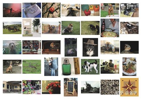 PyTorch实现深度学习 预训练网络 知乎