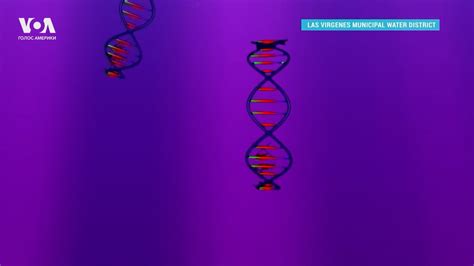 წყლის წრიული გაწმენდა Youtube