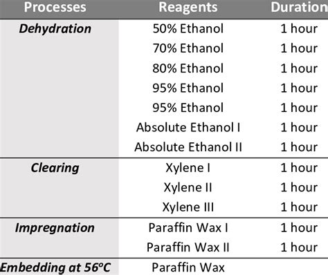 Routine Tissue Processing Light Microscopic Protocol Download