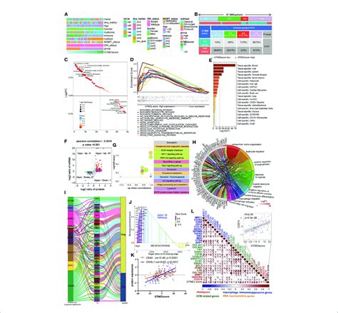 Correlation Between The Gtmeiscore And Proteomic Characteristics A Download Scientific