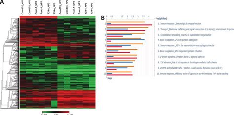 A Consensus Transcriptome Signature Of Pancreatic Neuroinvasion 680 Download Scientific