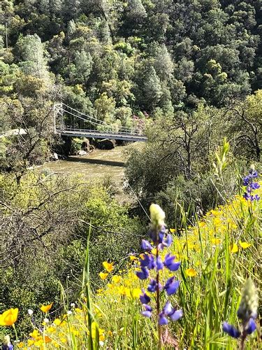 Merced River Recreation Management Area The Merced River I… Flickr