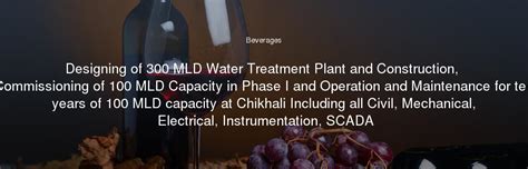 Designing Of 300 Mld Water Treatment Plant And Construction Commissioning Of 100 Mld Capacity