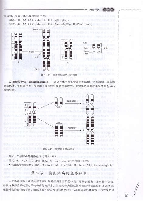 现货医学遗传学 全国普通高等医学院校五年制临床医学专业“十三五”规划教材 李永芳主编平装非彩图中国医药科技出版社 虎窝淘
