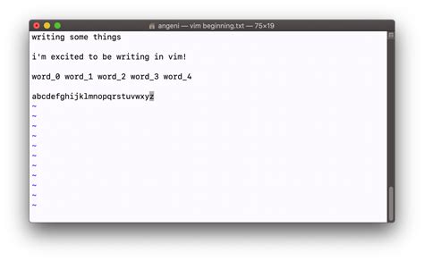 beginner s guide to vim the basics
